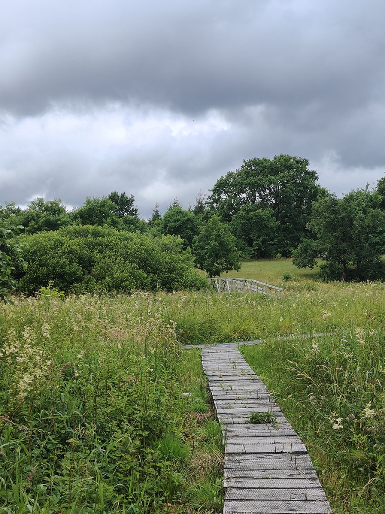 GUIDE Kyst til Kyst Stien fra Vejle til Blåvandshuk (136 km A til B ...