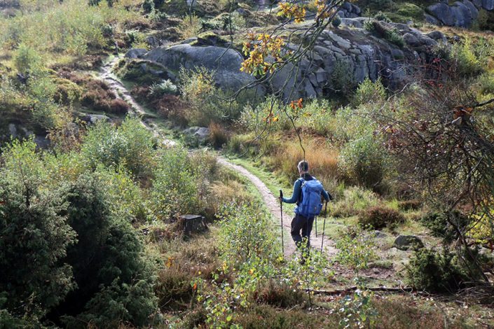 INDBLIK Min indre Ronja Røverdatter: Højlyngsstien på Bornholm - Frie ...