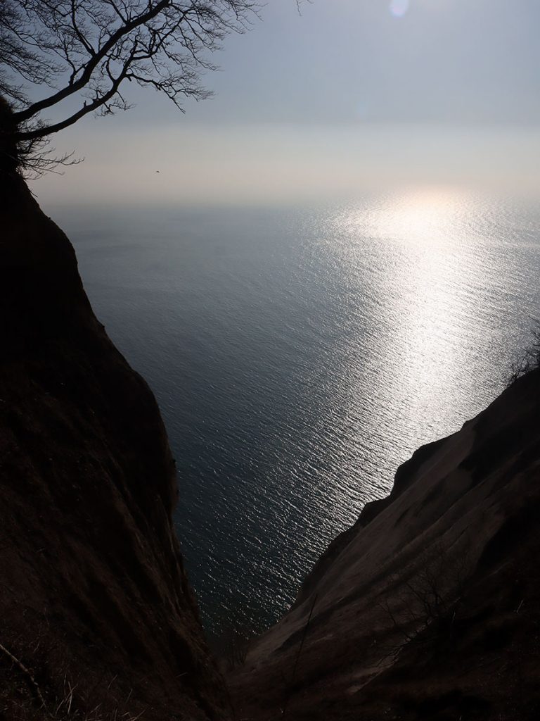 GUIDE Camønoen - Frie fodspor