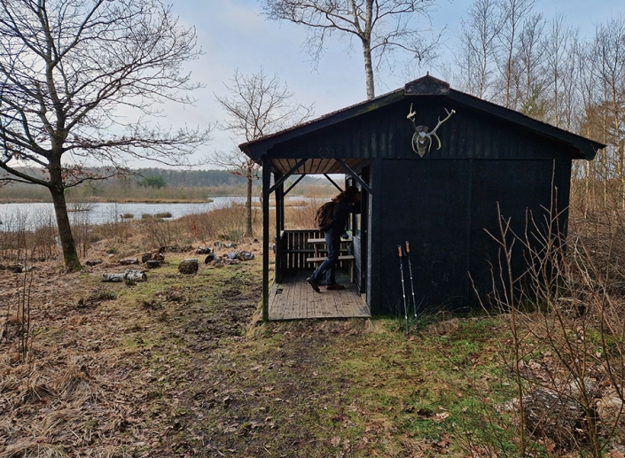 VANDRERUTE: Fortidens fodspor ved Bølling Sø (11 km) - Frie fodspor